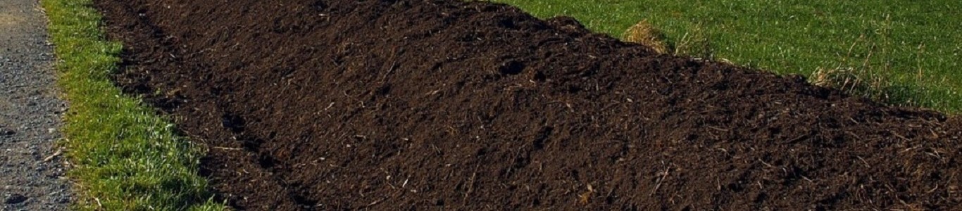The Benefits of Adding Biochar to Commercial Compost - Ecoverse