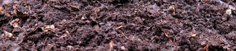 The 10 Most Amazing Facts About Compost Most People Don’t Know - Ecoverse